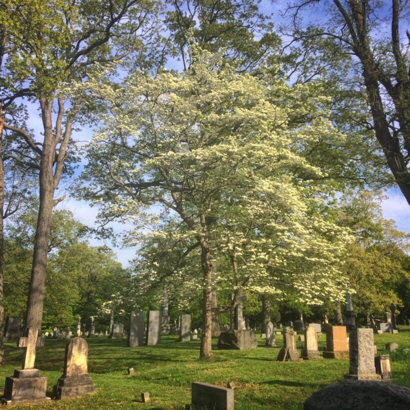 Our Staff and Board - Albany Rural Cemetery Capital Region's Finest ...